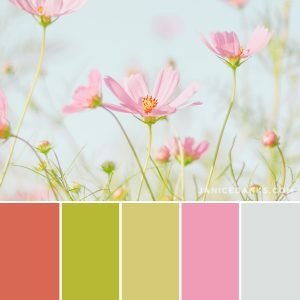 15 Best Color Palettes for Spring - Janice Banks