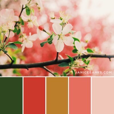 15 Best Color Palettes for Spring - Janice Banks