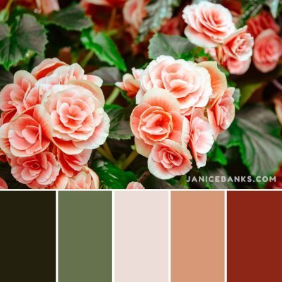 15 Best Color Palettes for Spring - Janice Banks